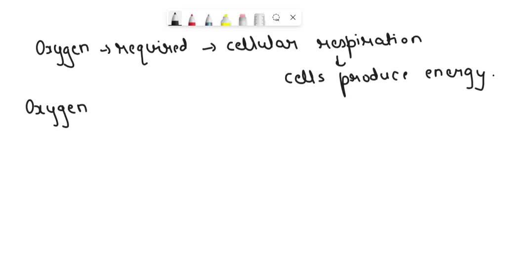 SOLVED: Blood Tissues Lungs Alveoli Oxygen Respiration Carbon Dioxide Cardiovascular System ...