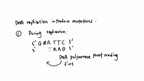 The two mechanisms for maintaining dna integrity are only...