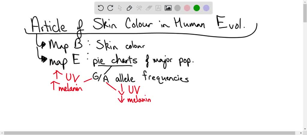 SOLVED: Based on what you know about skin pigmentation so far, suggest ...