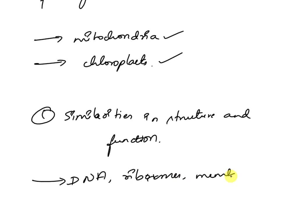 SOLVED: The endosymbiotic theory explains how the origins of life led ...