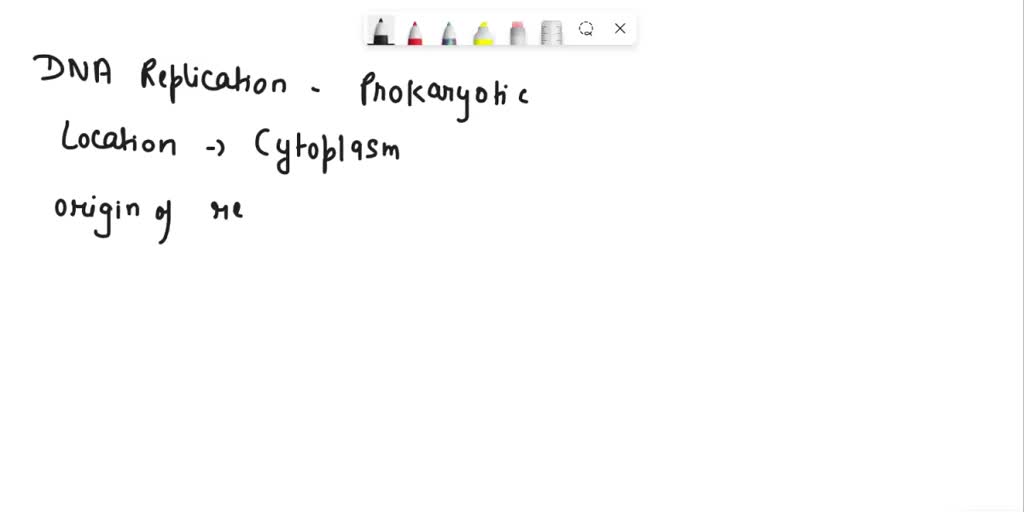 SOLVED: Task: Create mind map of DNA replication in prokaryotic and ...