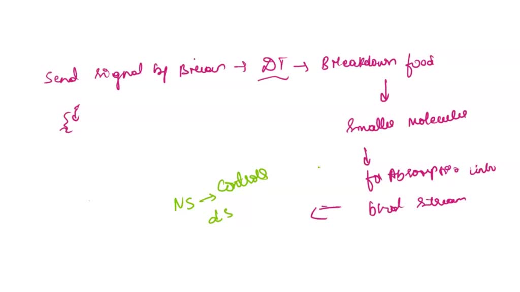 SOLVED: Question 3 1 pts Animals that live in or on their food source ... SOLVED: Question 3 1 pts Animals that live in or on their food source ...