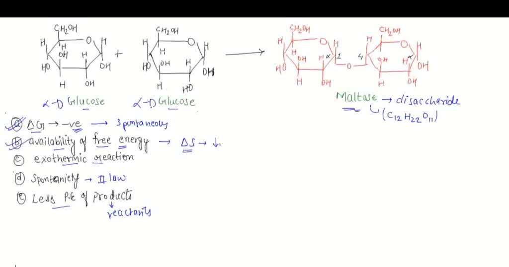SOLVED: When two glucose molecules react to form maltose: a. the ...