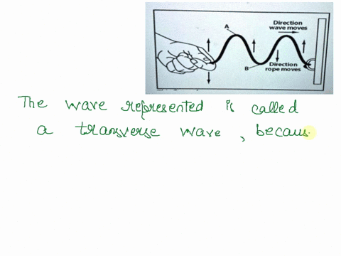 Velocity of propagation Zoom Displacement What type of wave...