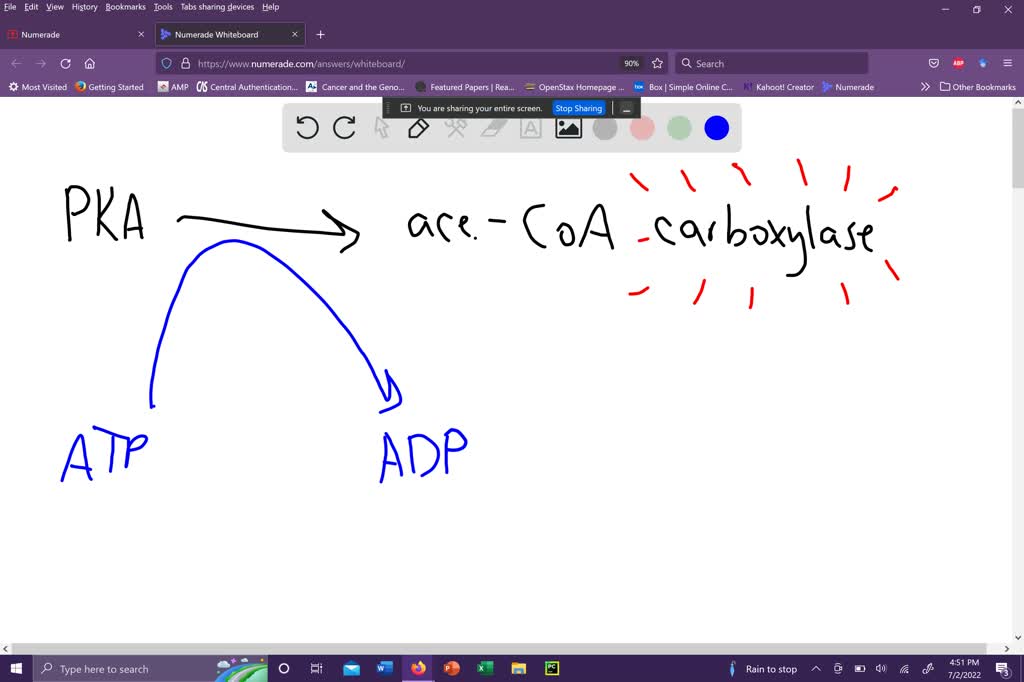 SOLVED: 'Protein kinase A (PKA) is a family of enzymes that are part of ...