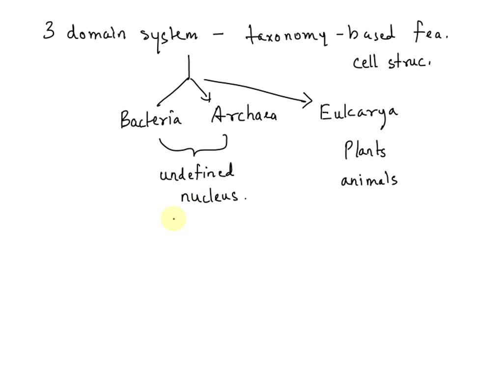 SOLVED: In the Three Domain system of taxonomy, living things are first placed into three groups ...