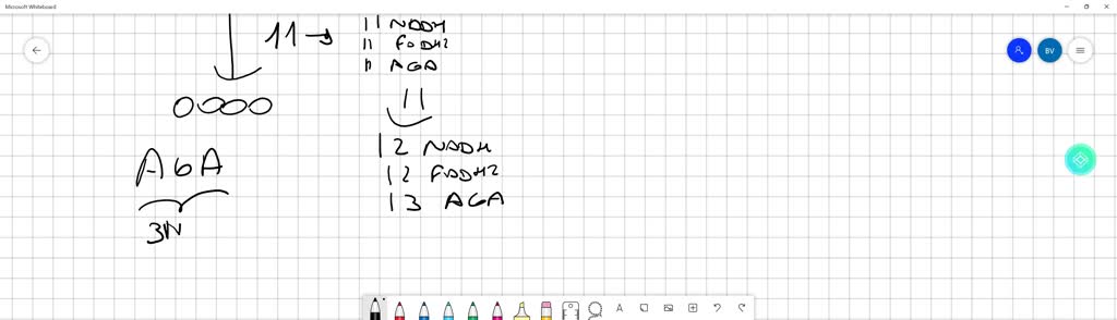 SOLVED: Consider cerotic acid (26:0), what is the total ATP produced ...