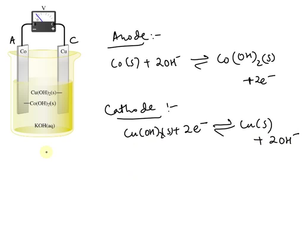 SOLVED: Texts: Can someone help me rewrite the abbreviated cell ...