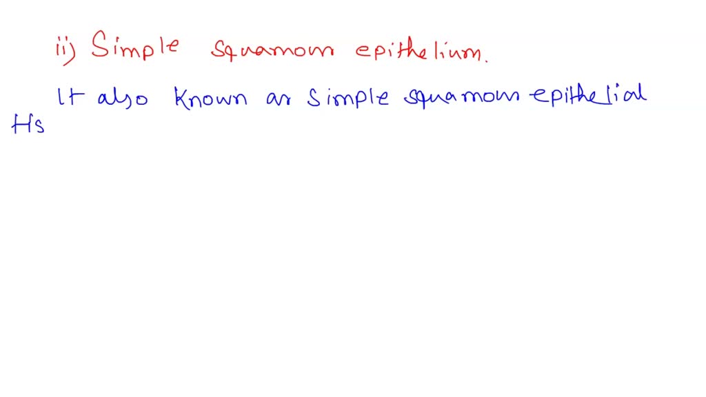 SOLVED: Which of the following best described a single layer of flat ...