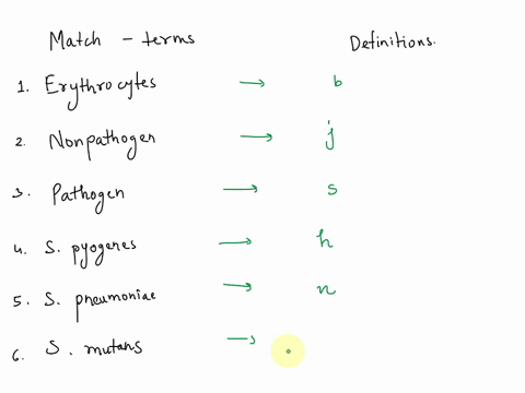 + Review Questions Match each word to its definition...