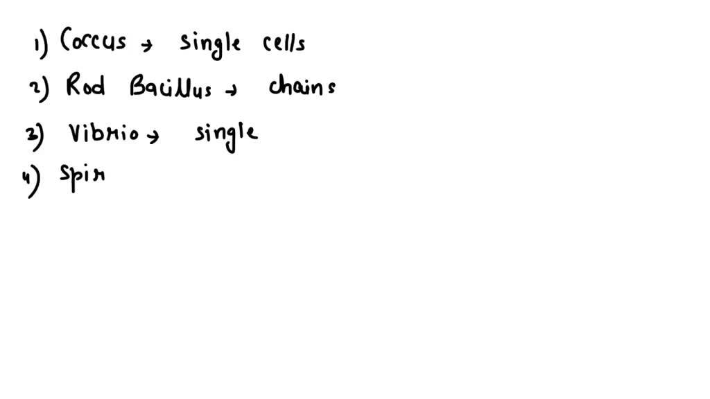 SOLVED: Drag the images to their corresponding class to test your ...