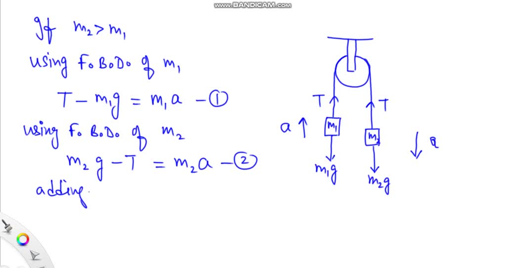 Solved A Massless Pulley Hangs From A Fixed Support A Massless String Connecting Two Masses