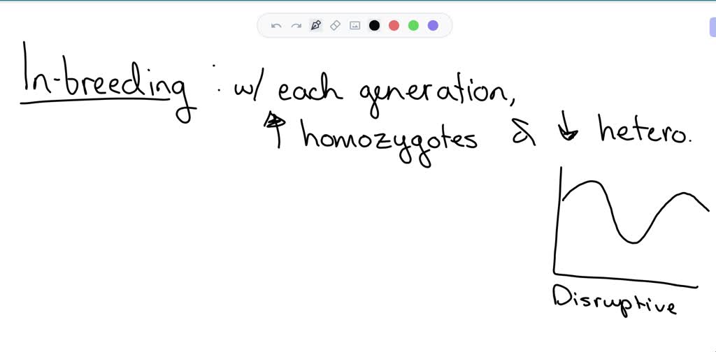 SOLVED: Inbreeding is the practice of breeding two animals that are ...