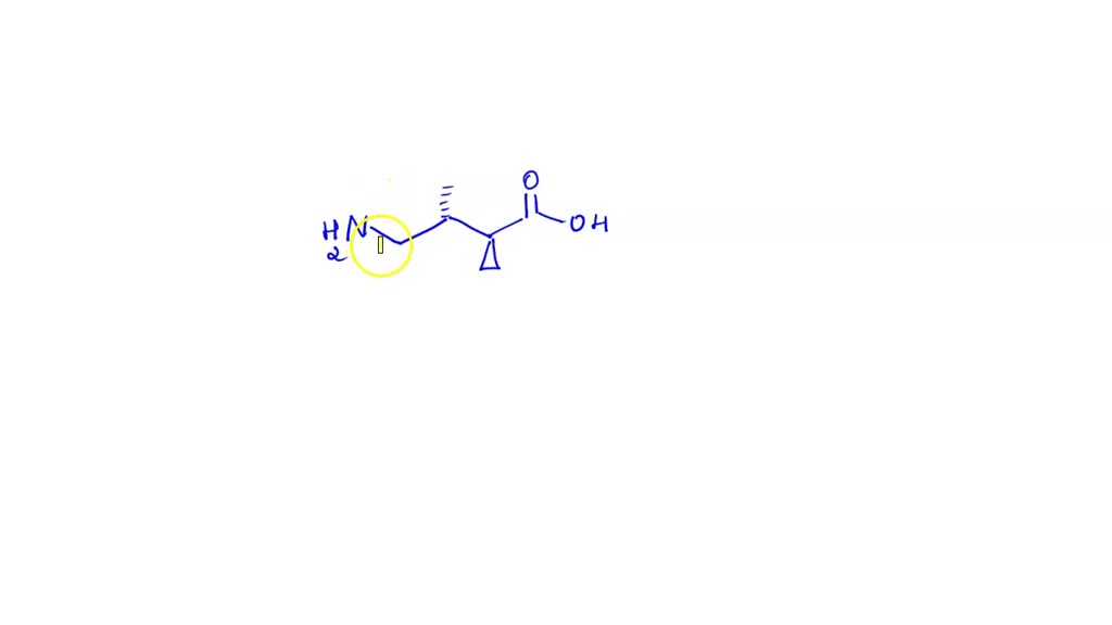 SOLVED: Question 1 (5 points) Select the functional group(s) you find ... SOLVED: Question 1 (5 points) Select the functional group(s) you find ...