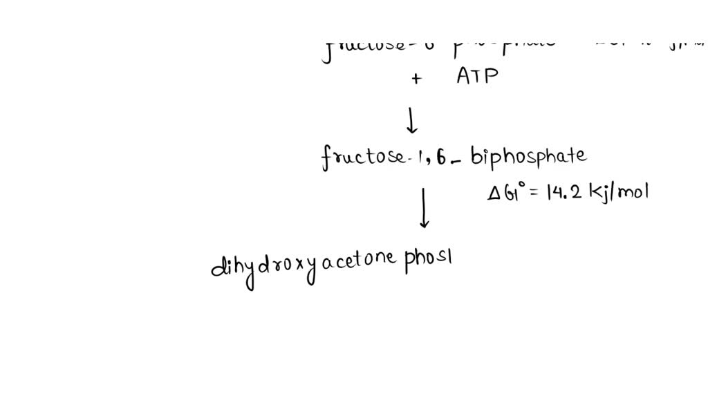 SOLVED: Write balanced biochemical equations for all the reactions in ...