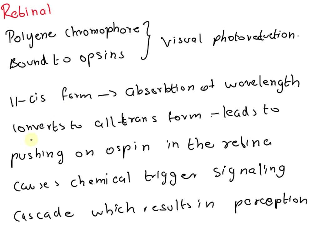 SOLVED: Research the compound retinal. Describe the role of cis-trans ...