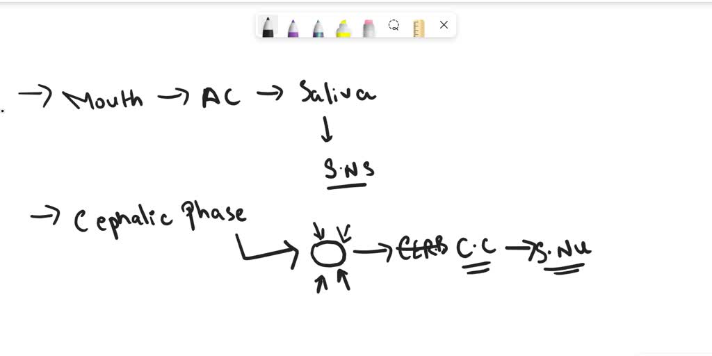 SOLVED: Salivation is controlled almost entirely by the nervous system ...