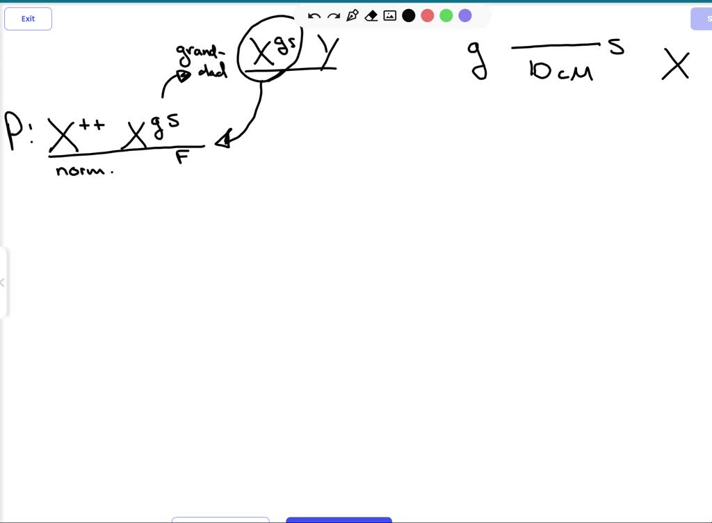 SOLVED: The Xg locus on the human X chromosome has two alleles, a+ and ...