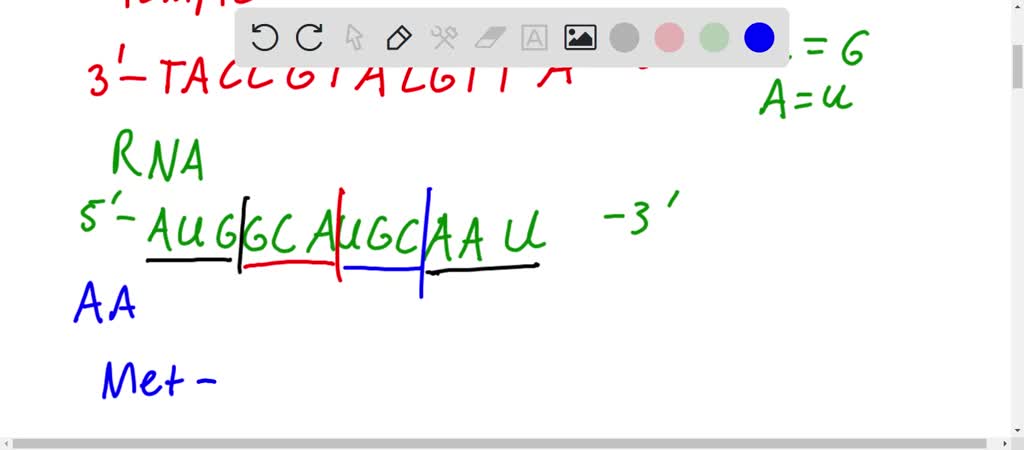 SOLVED: Coding strand of DNA is 5-ATGGCATGCAAT-3. Give all of the ...