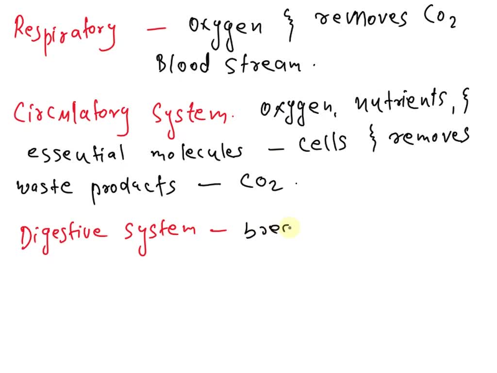 SOLVED: How do the circulatory, respiratory and digestion systems work ...
