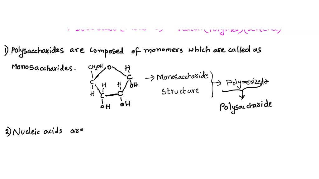SOLVED: Match these polymers with the image of their constituent ...