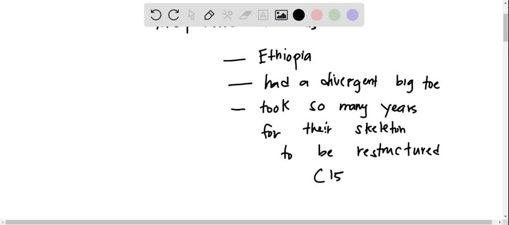 Solved The Evidence That Ardipithecus Ramidus Is A Hominin Includes A