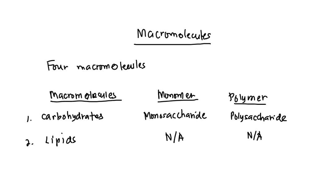 SOLVED: List the four categories of macromolecules. Name the monomers and polymers for each.