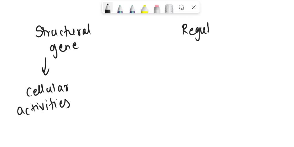 SOLVED: 1. What is the difference between structural genes and ...