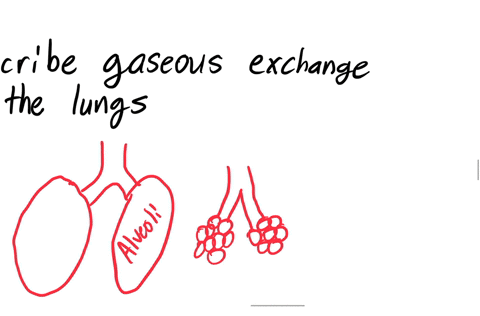 Know the structures of the respiratory system where gas...