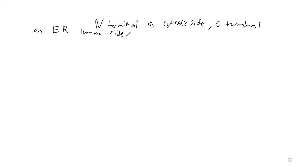 SOLVED: Cytosol Internal signal sequence Endoplasmic reticulum lumen ...