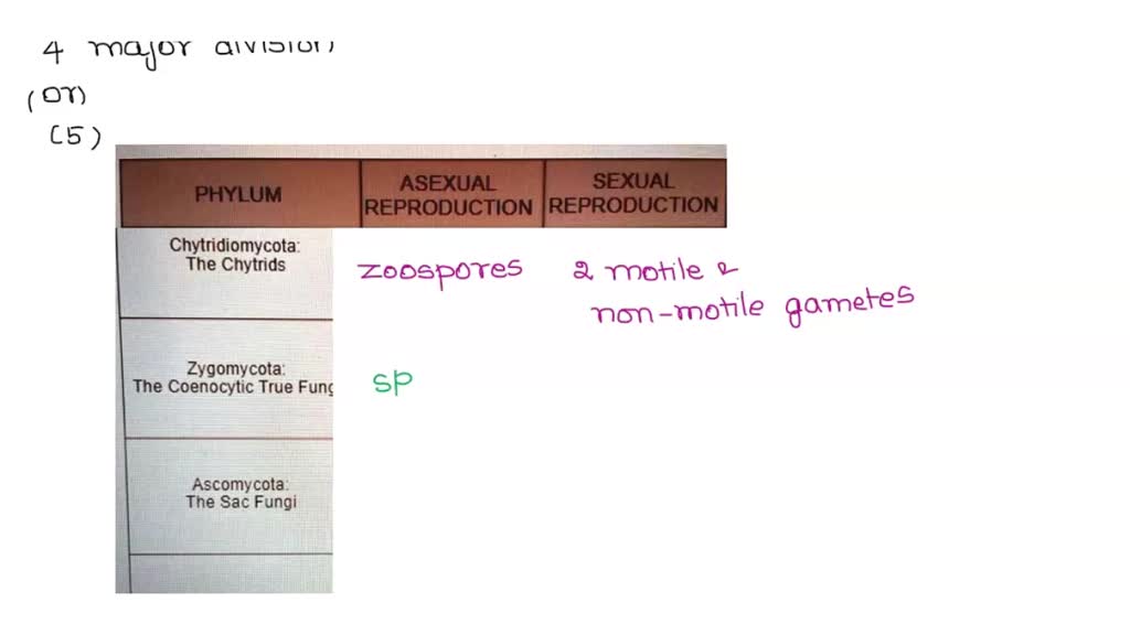 SOLVED: ASEXUAL SEXUAL PHYLUM REPRODUCTION REPRODUCTION Chytridiomycota ...