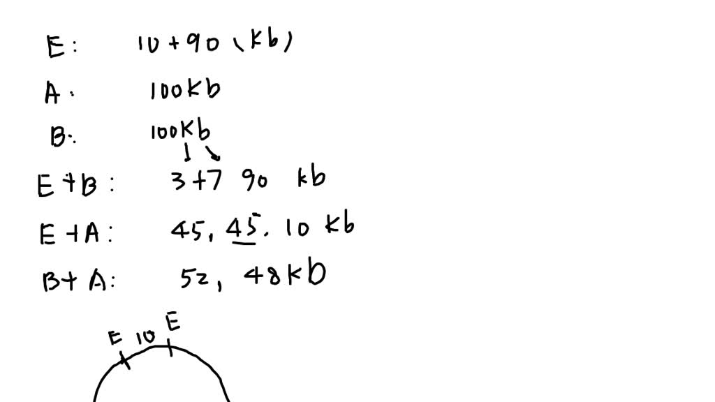 SOLVED: A preparation of circular plasmid DNA was digested with three different combinations of ...
