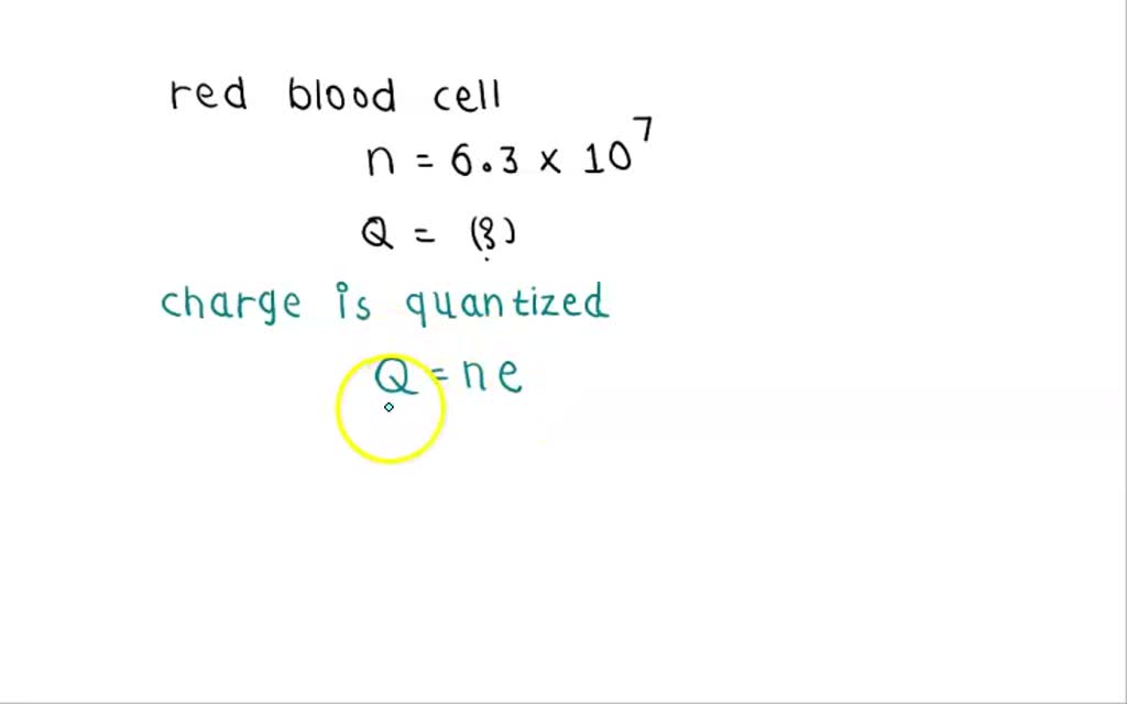 SOLVED: red blood cell contains 6.3 * 10 free electrons. What is the ...