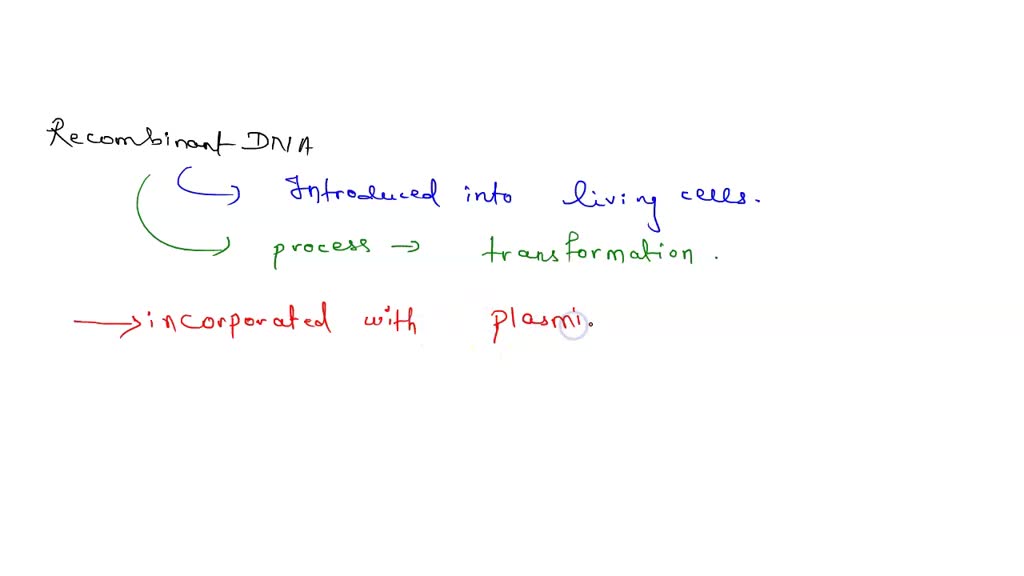 Solved After A Piece Of Dna E G Tbx4 Gene Is Ligated Into A Plasmid