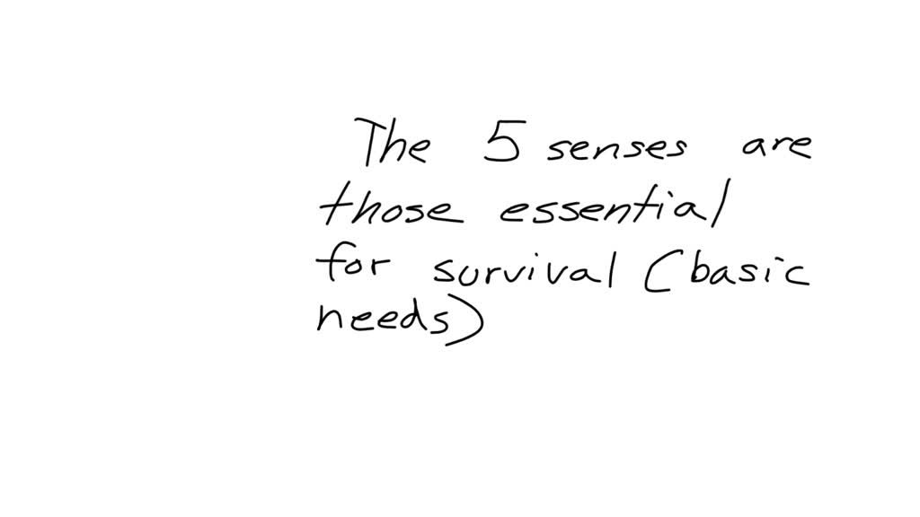 SOLVED: There is a classic idea of there being only five senses, but ...