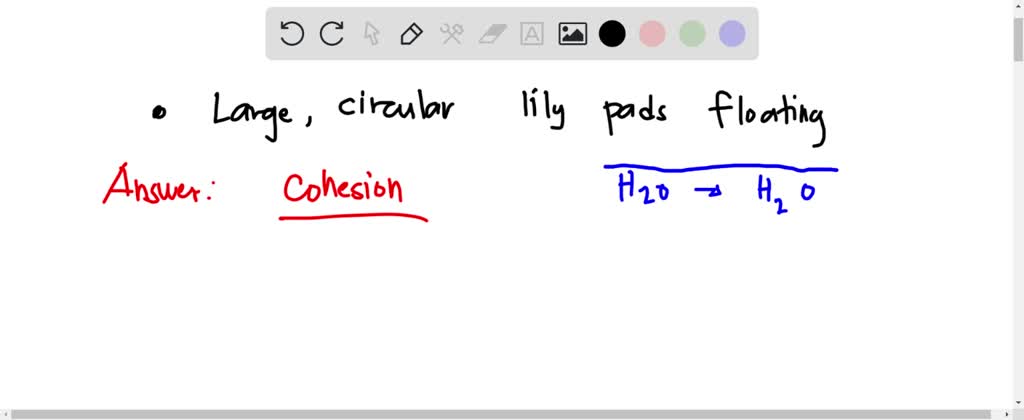 SOLVED: Identify which property of water - cohesion, adhesion, or heat ...