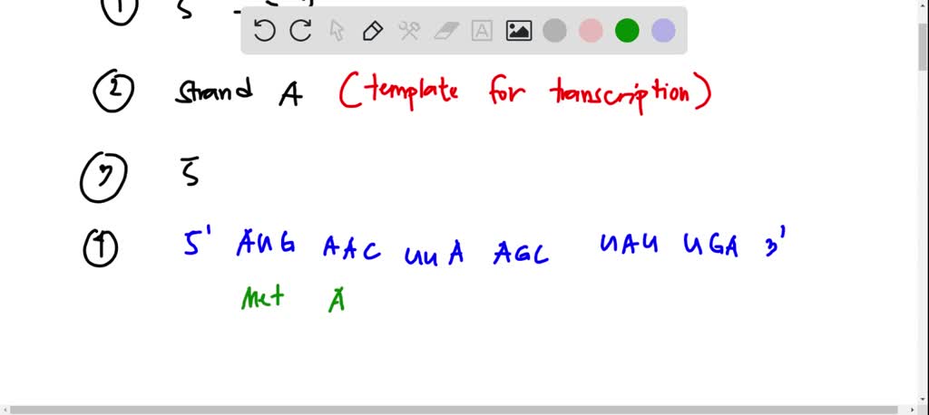 SOLVED: Cut-and-paste transposition results in a short repeated ...