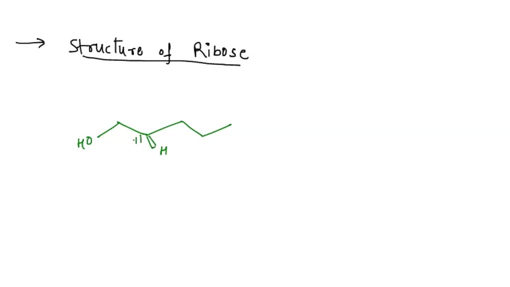 SOLVED: (b):. Ribose, an essential part of ribonucleic acid (RNA), has ...