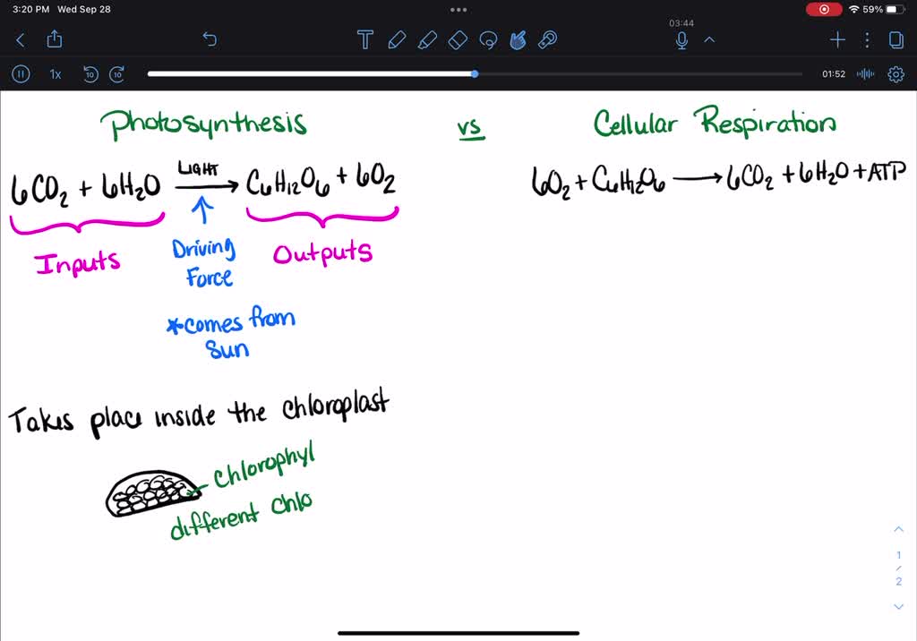 SOLVED: What are the outputs of photosynthesis? Select all that apply ...