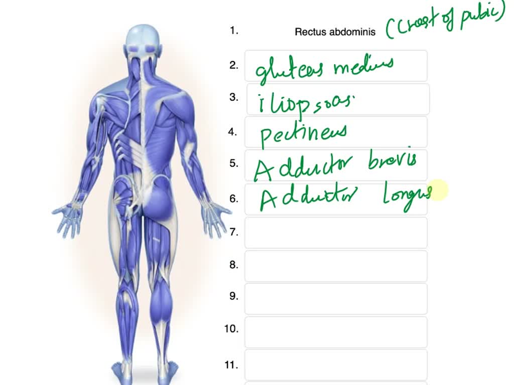 SOLVED: Texts: Need answers for #7. Possible answers are shown in the ...