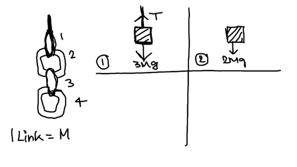 SOLVED: 3. A chain is suspended by a rope as shown at right. The chain ...