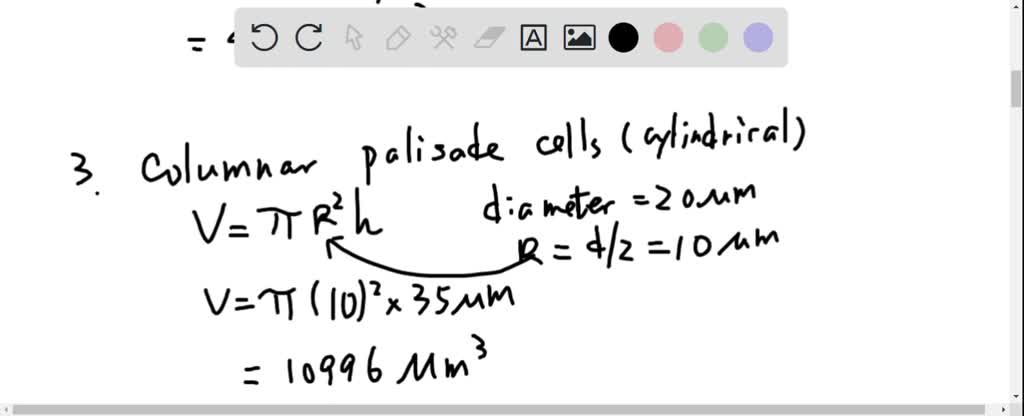 SOLVED: Cell Sizes. To appreciate the differences in cell size ...