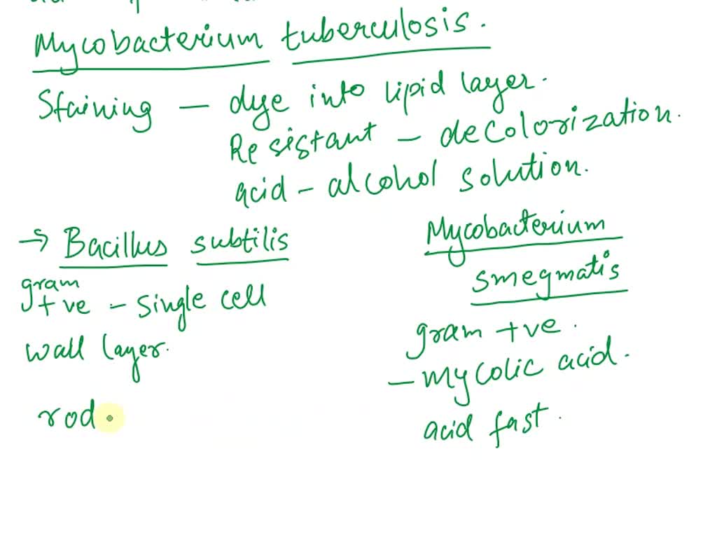 SOLVED: Explain why the carbol fuchsin used in the acid-fast procedure ...
