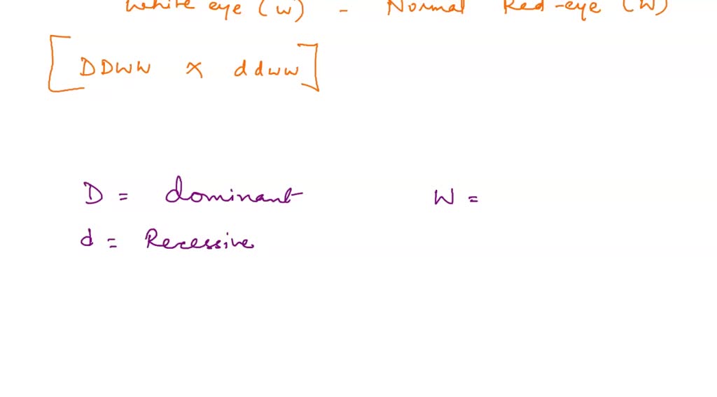 SOLVED: In the fly Drosophila, the allele for dumpy wings (d) is ...