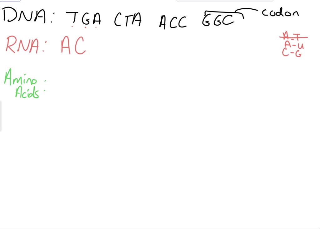 SOLVED: Consider the nucleotide sequence 'TGAC.IAACCGGCT. Transcribe this sequence into mRNA ...