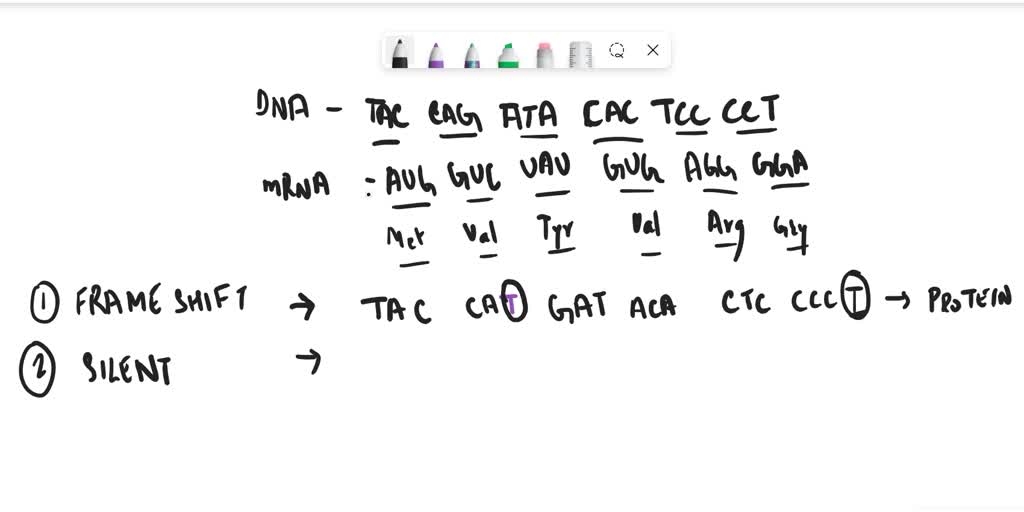 Solved Using The Dna Sequence Tac Cag Ata Cac Tcc Cct Create The