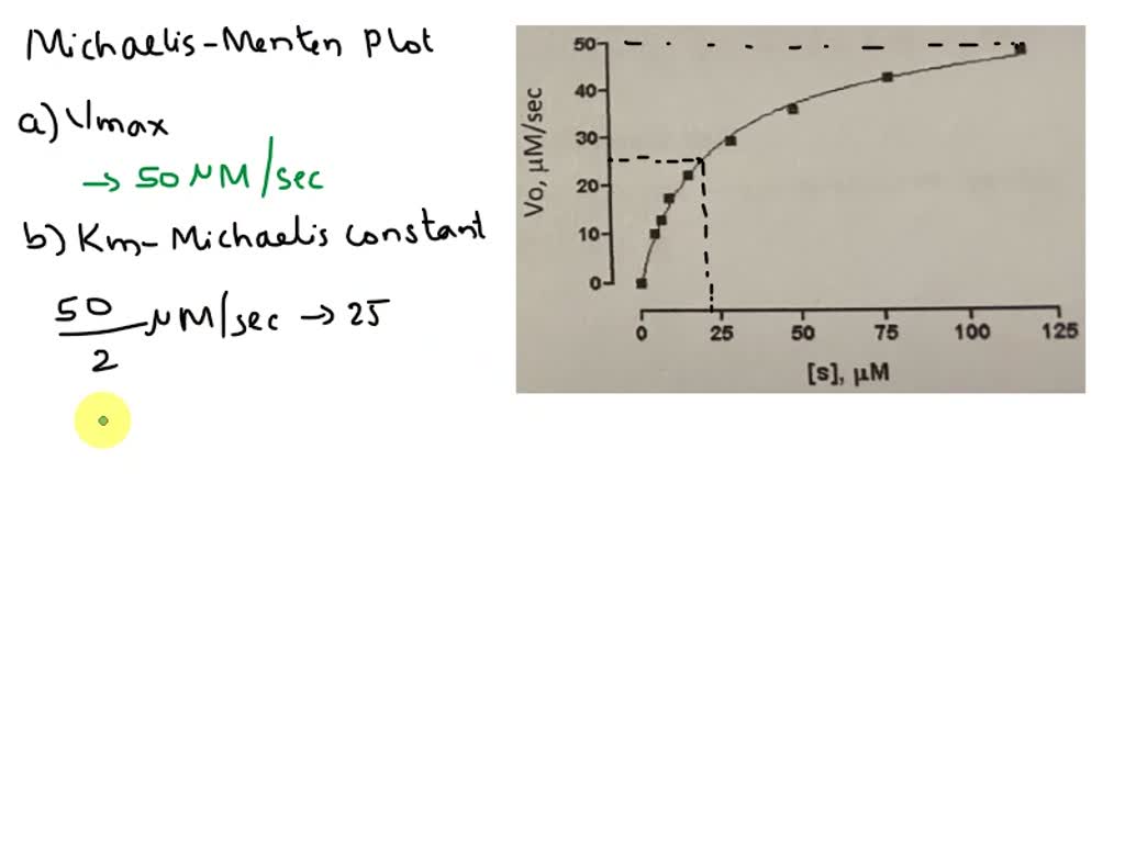 SOLVED: Consider the following Michaelis-Menten curve. A) Estimate the Max for this reaction B ...