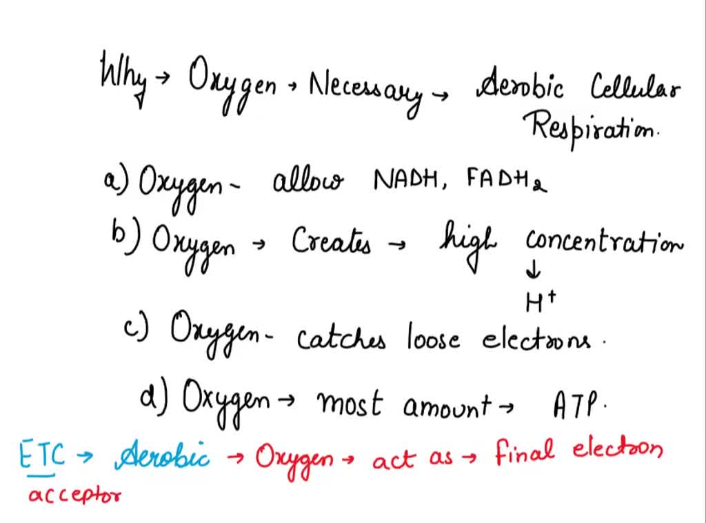 SOLVED: Why is oxygen necessary during aerobic cellular respiration ...