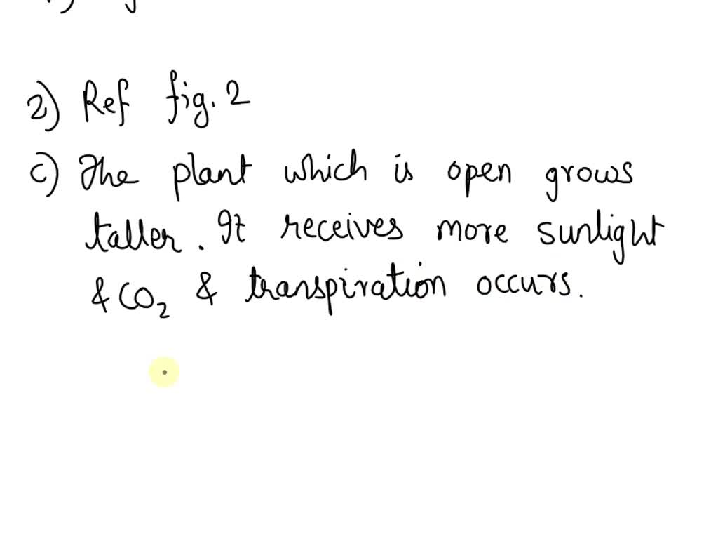 SOLVED: WHAT TO DO (PROCEDURE) Compare the two identical plants under ...