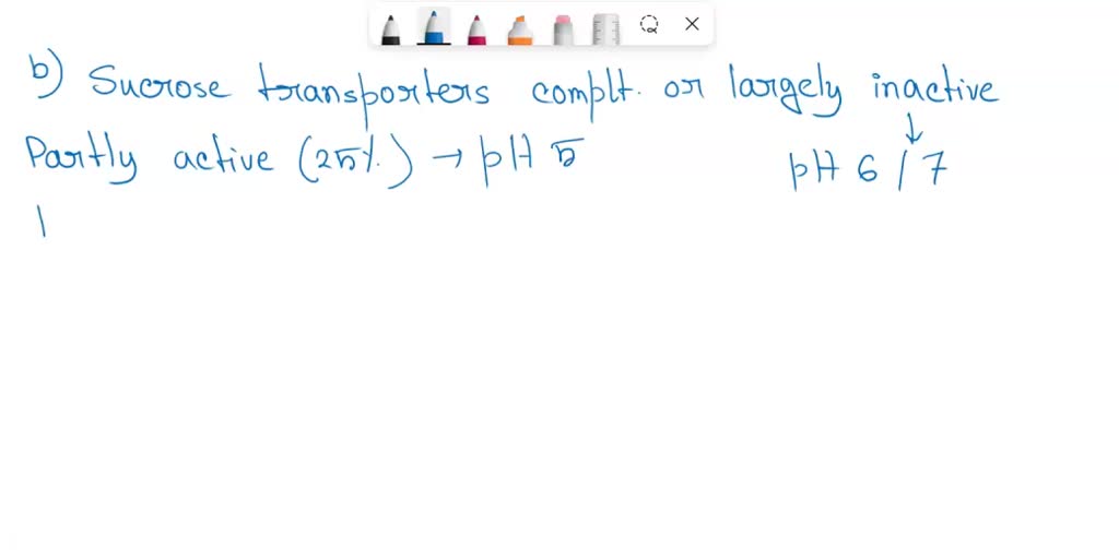 SOLVED: Proton Pump Sucrose Diffusion Sucrose Sucrose What is the role ...